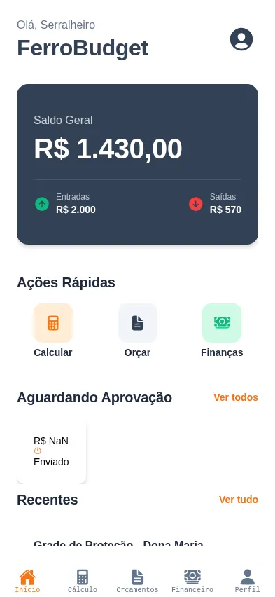 FerroBudget App