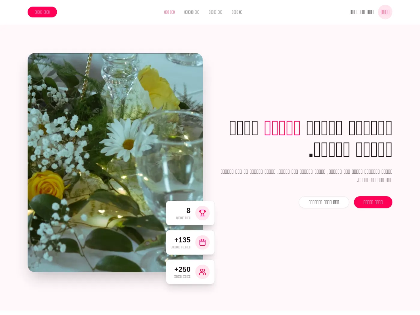 Zohar Branding Web