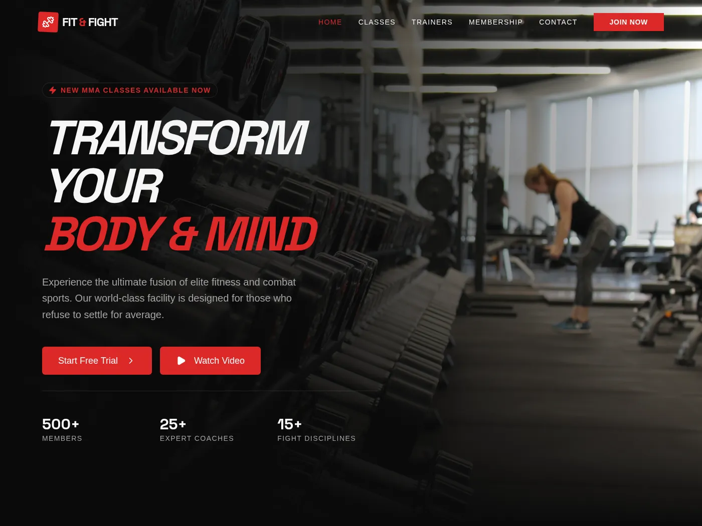 Fit and Fight Gym Site