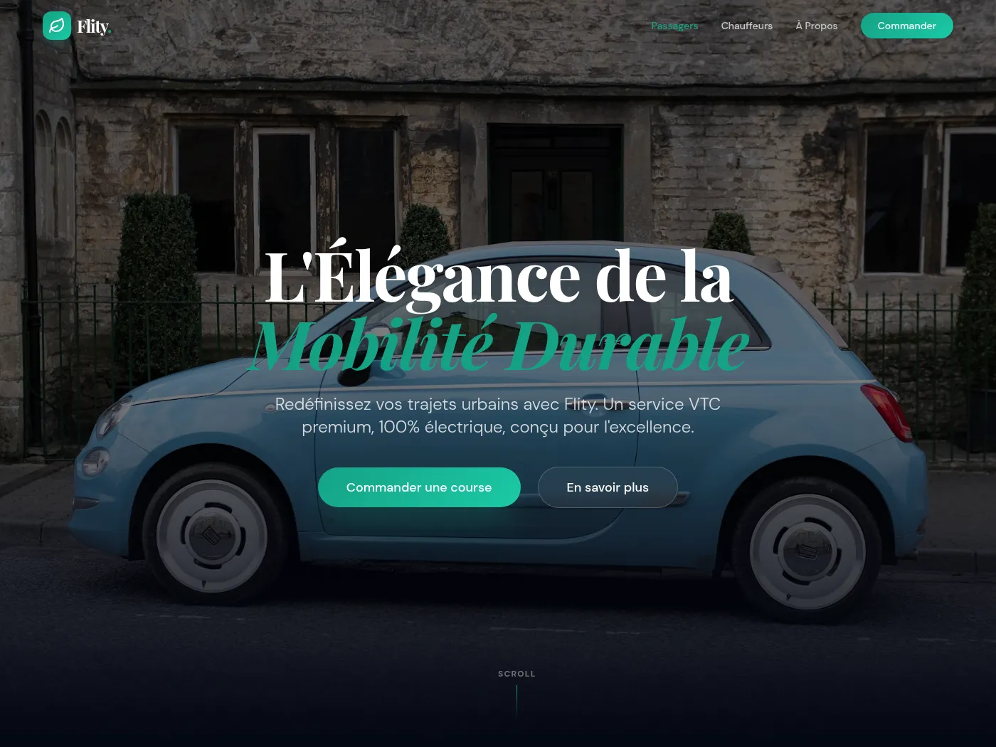 Flity Premium Site