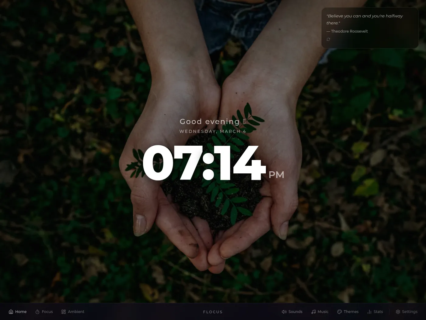 Flocus Web Clone