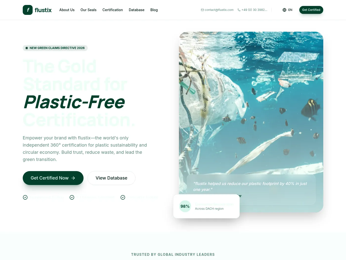 Flustix Pro Website