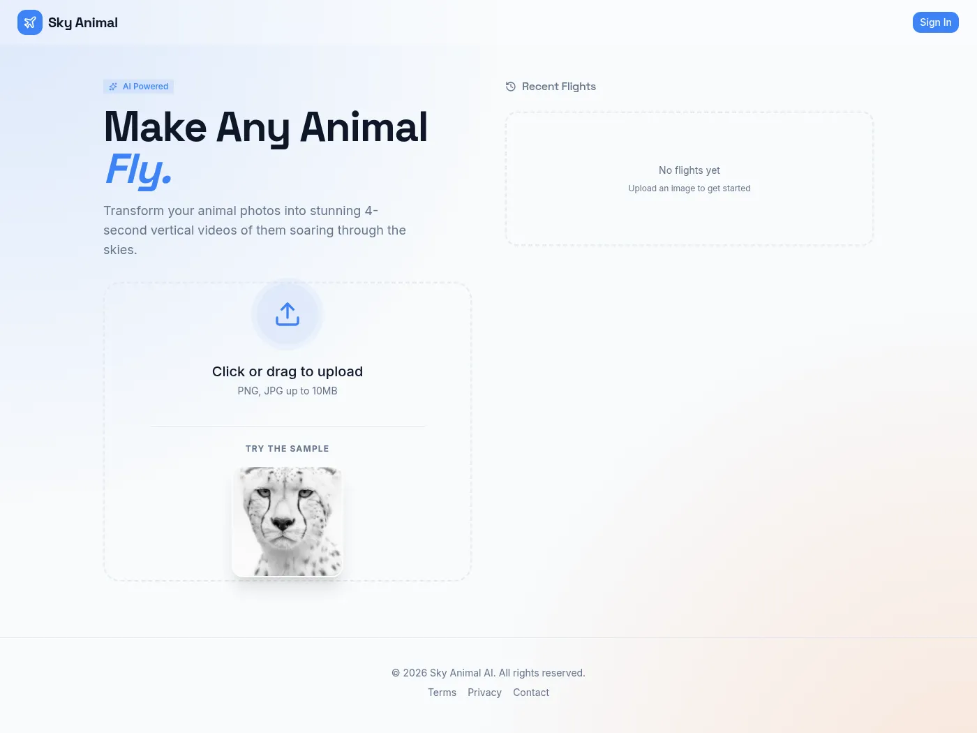 Fly This Animal Video