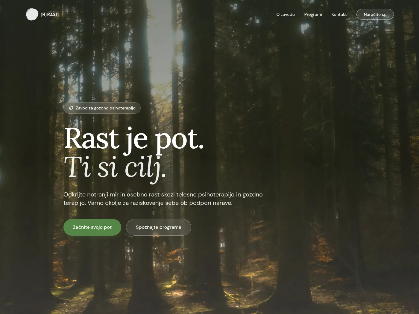 Forest Therapy Hub