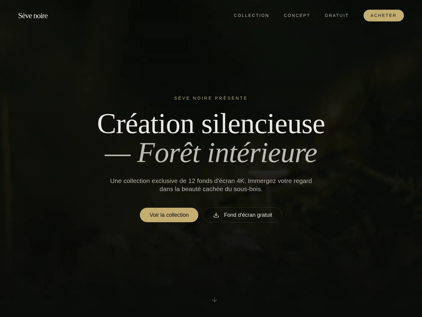 Forêt Intérieure Wallpapers