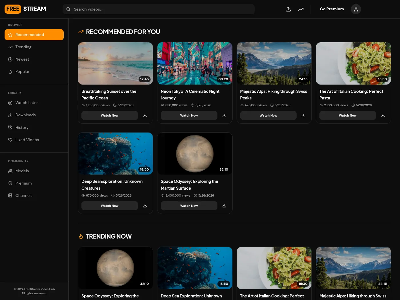 FreeStream Video Hub