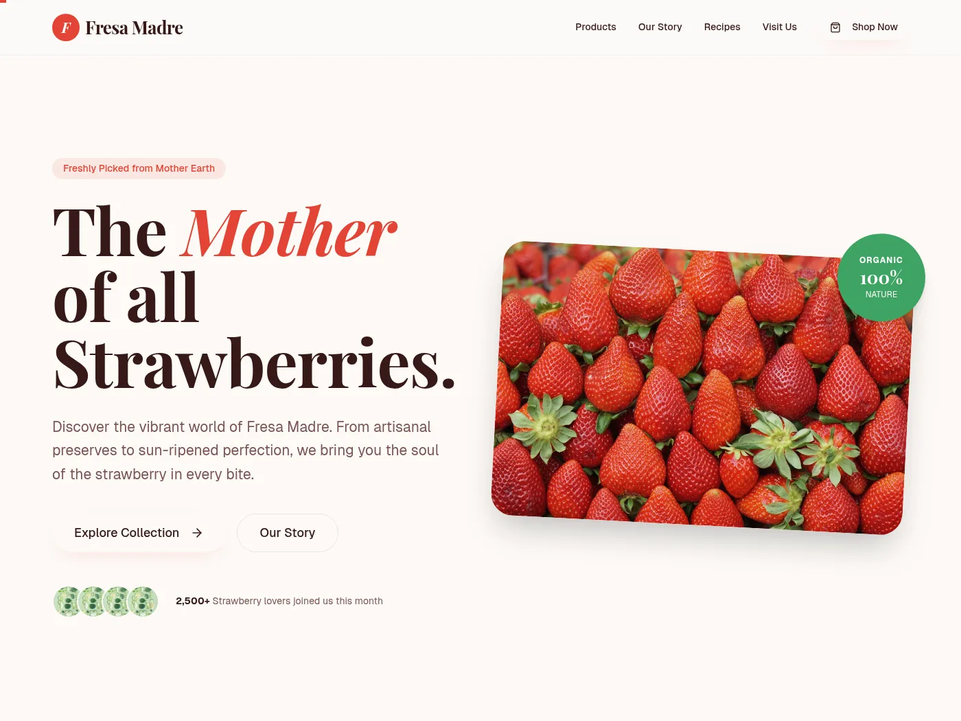 Fresa Madre Website