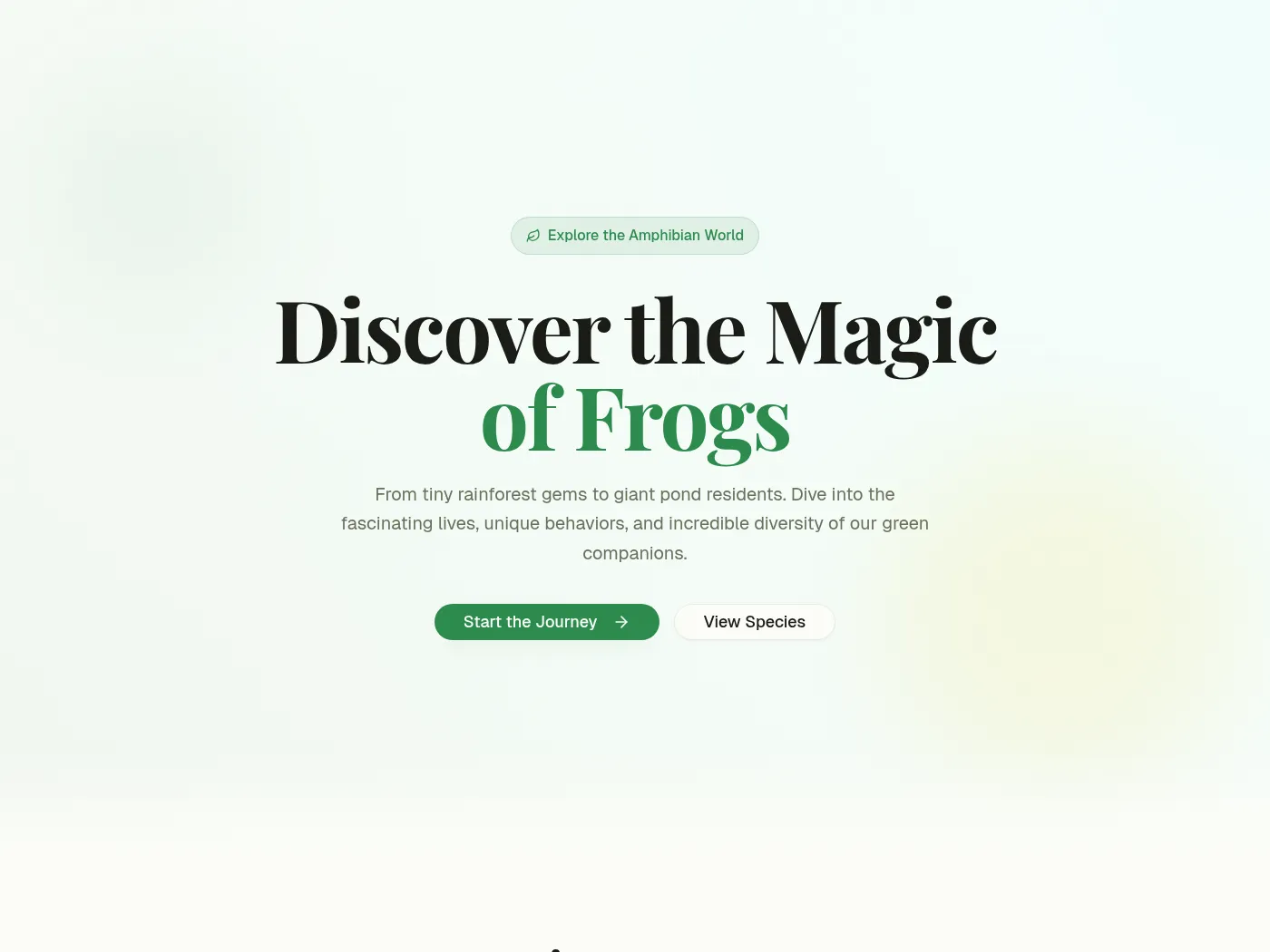 Frog World Onepager