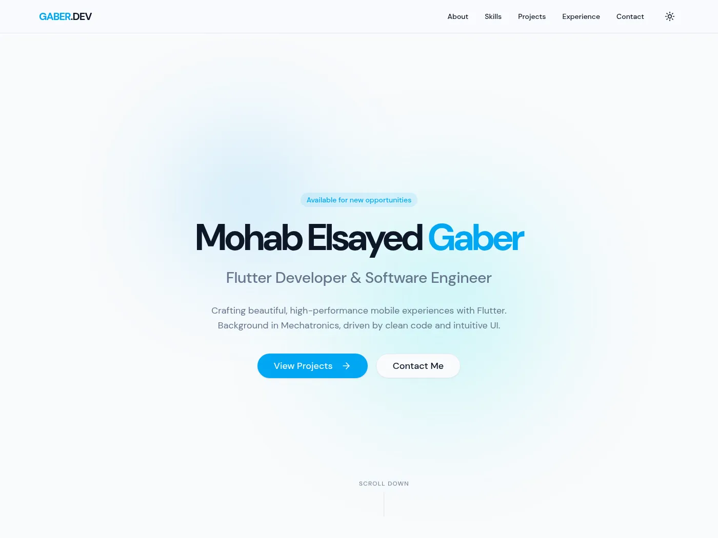 Gaber Dev Portfolio