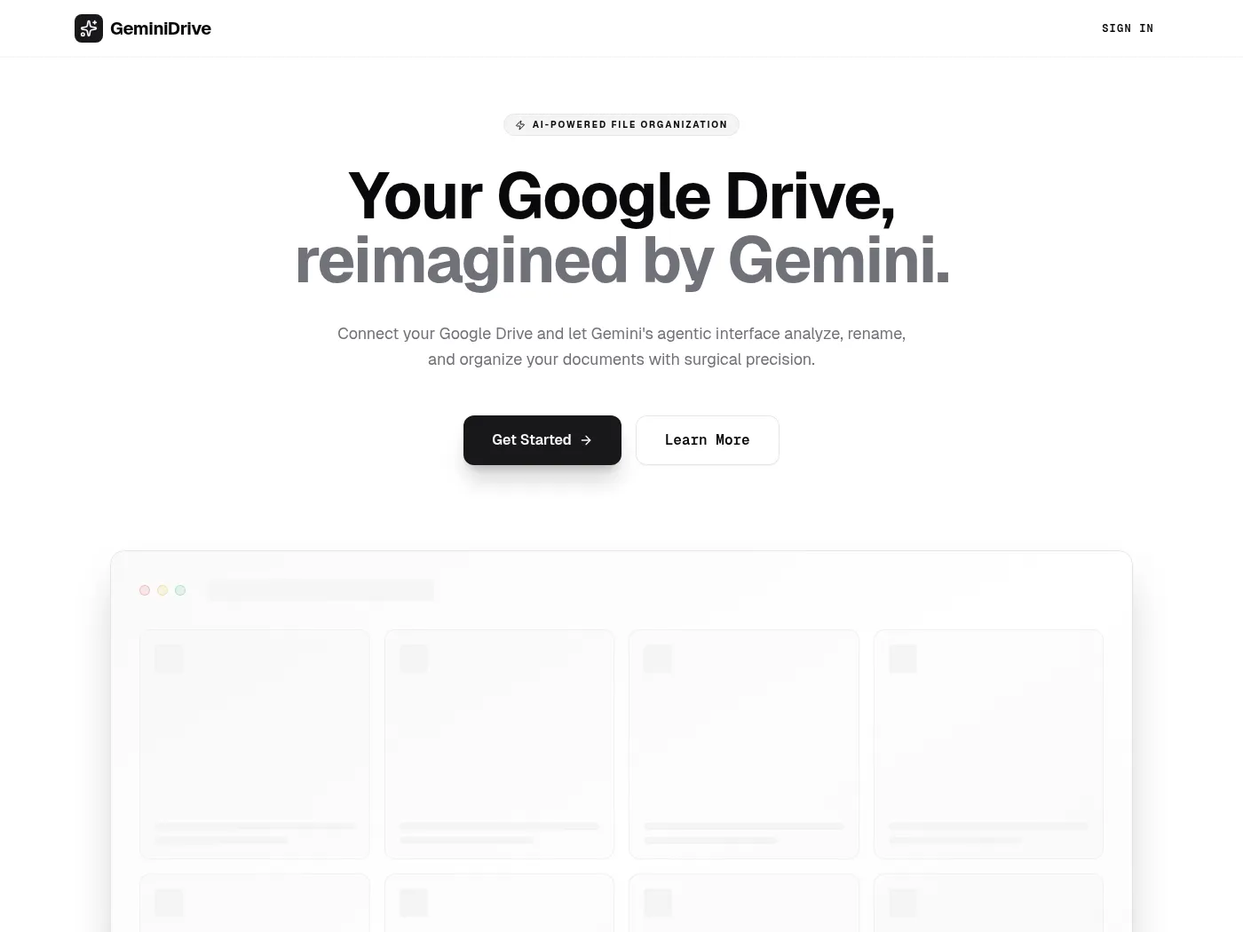 Gemini Drive Organizer
