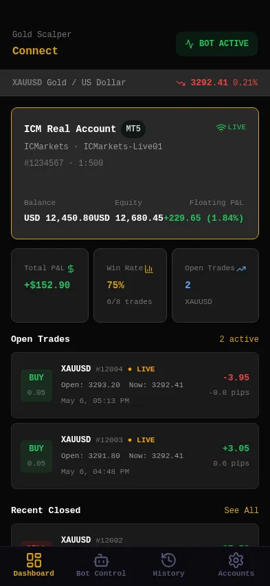 Gold Scalper Connect