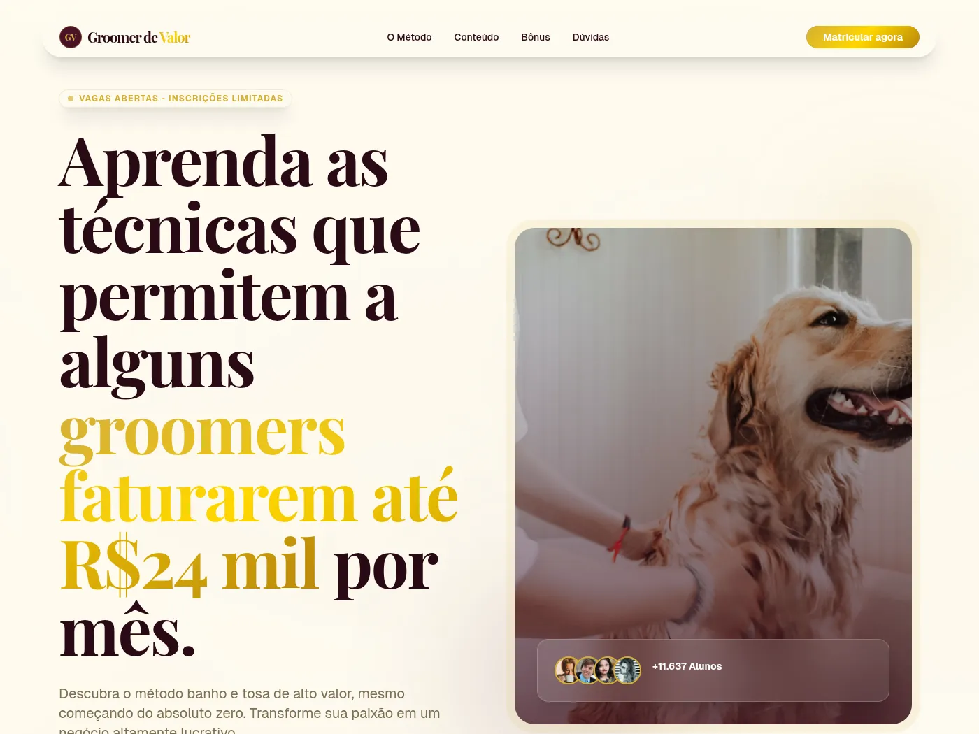 Groomer de Valor Sales Page