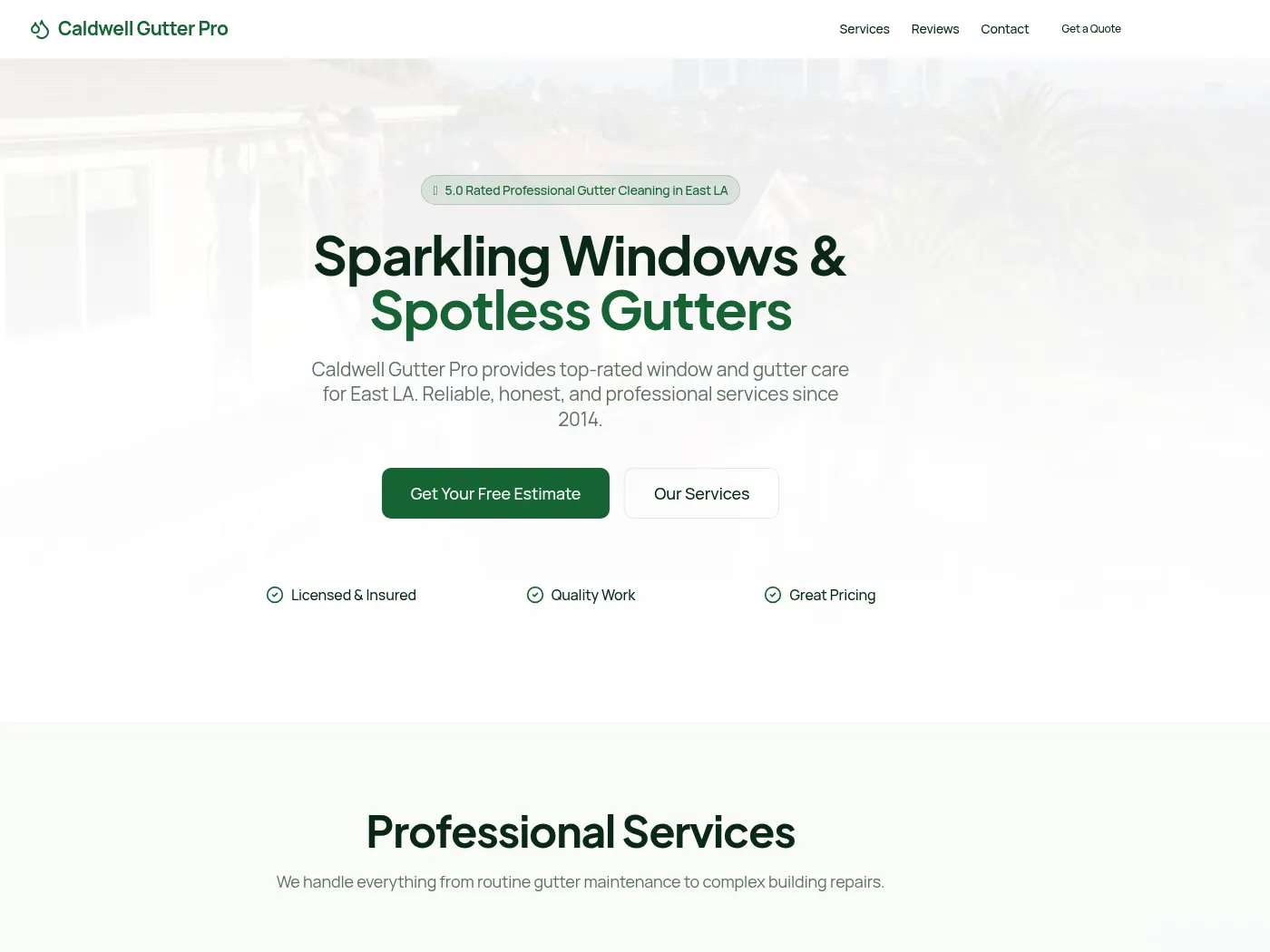 Caldwell Gutter Pro