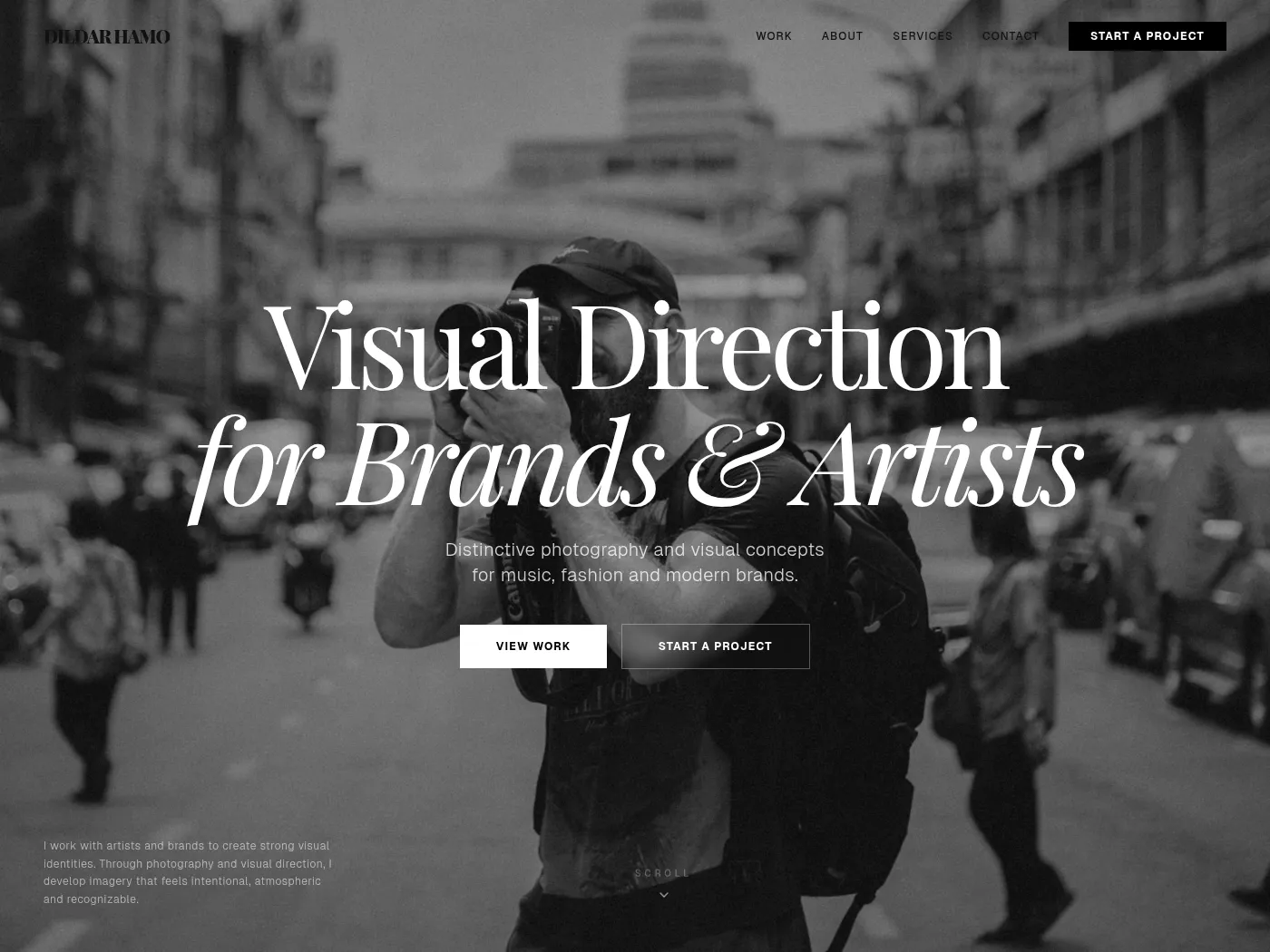 Hamo Visual Portfolio