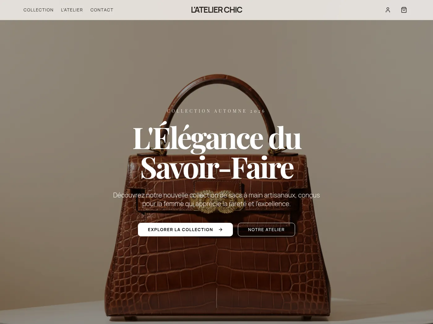 Chic Handbag Storefront