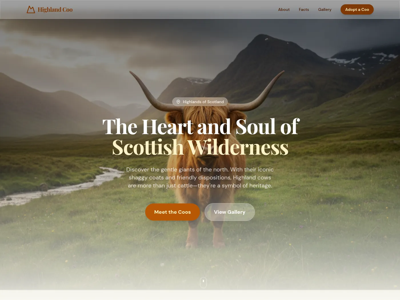 Highland Cow Mini Site