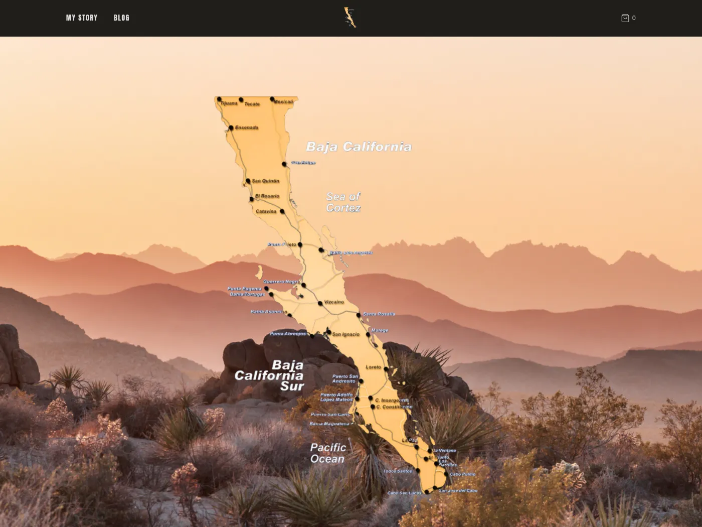 HighRisk Replica Site