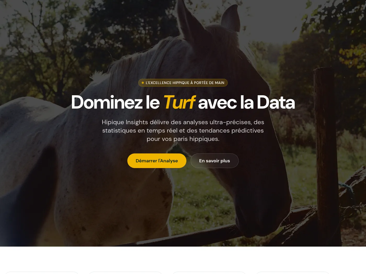 Hipique Insights
