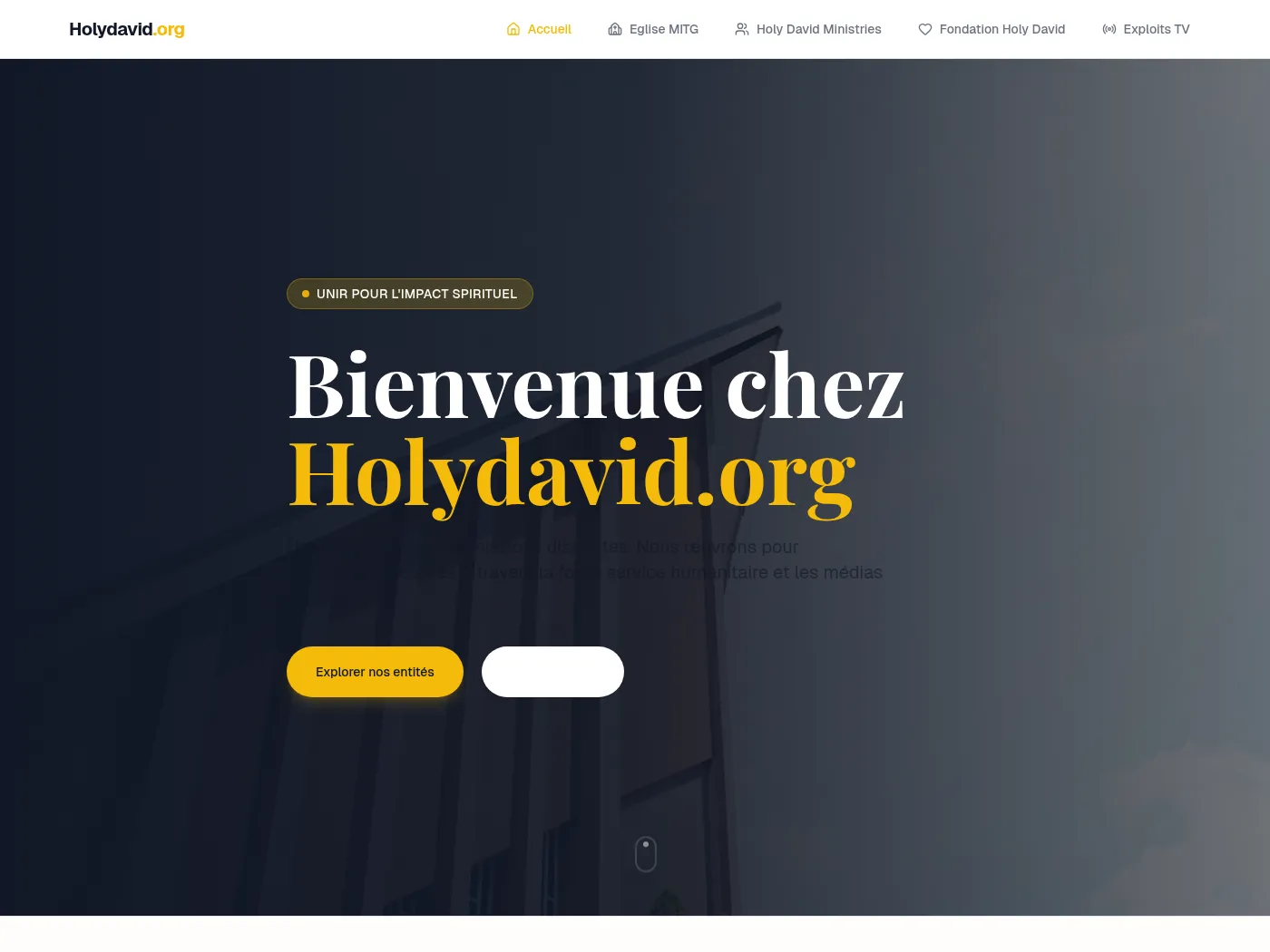 Holydavid Group Website