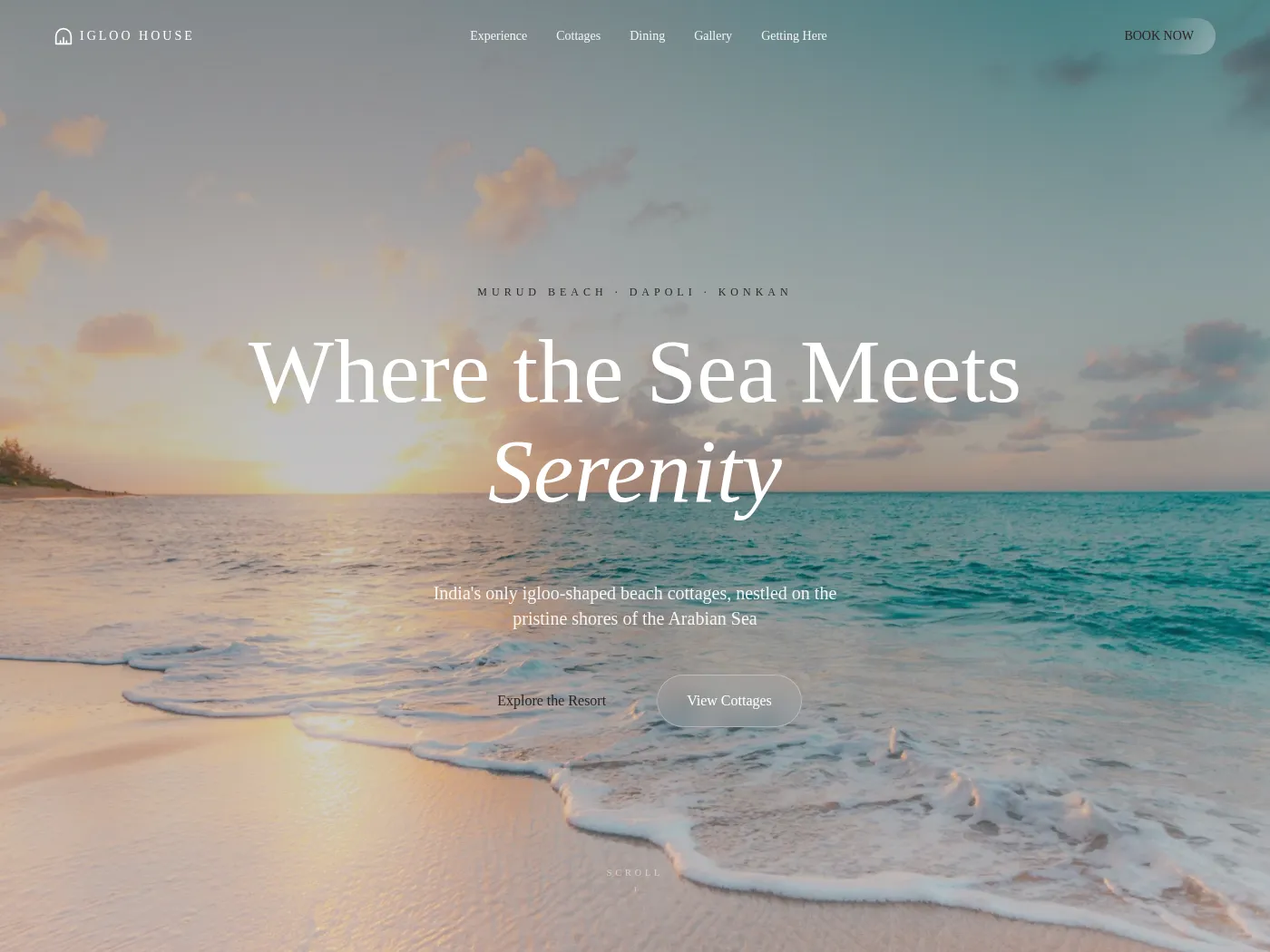 Igloo House Landing Page