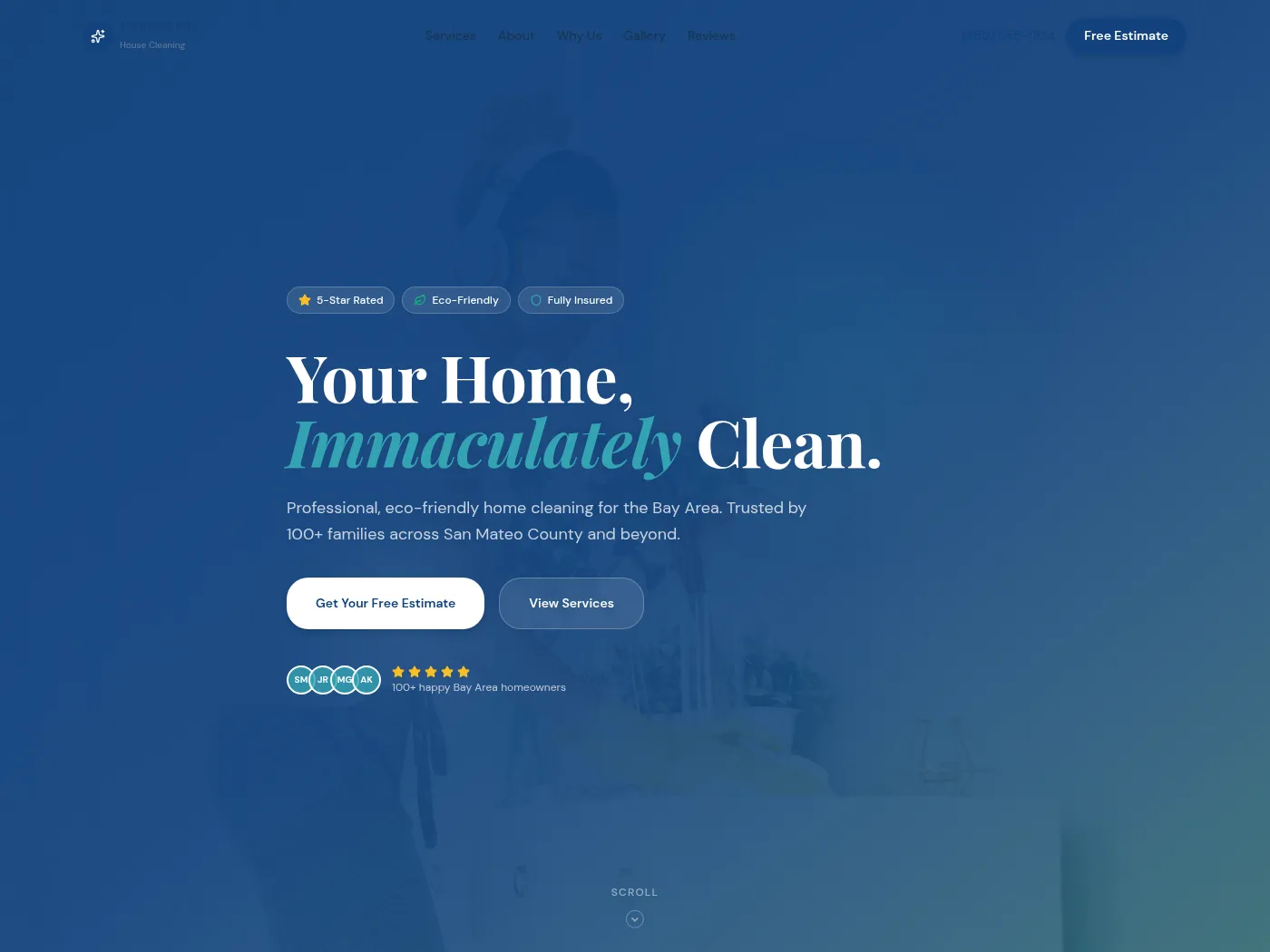 Immaculate House Cleaning Site