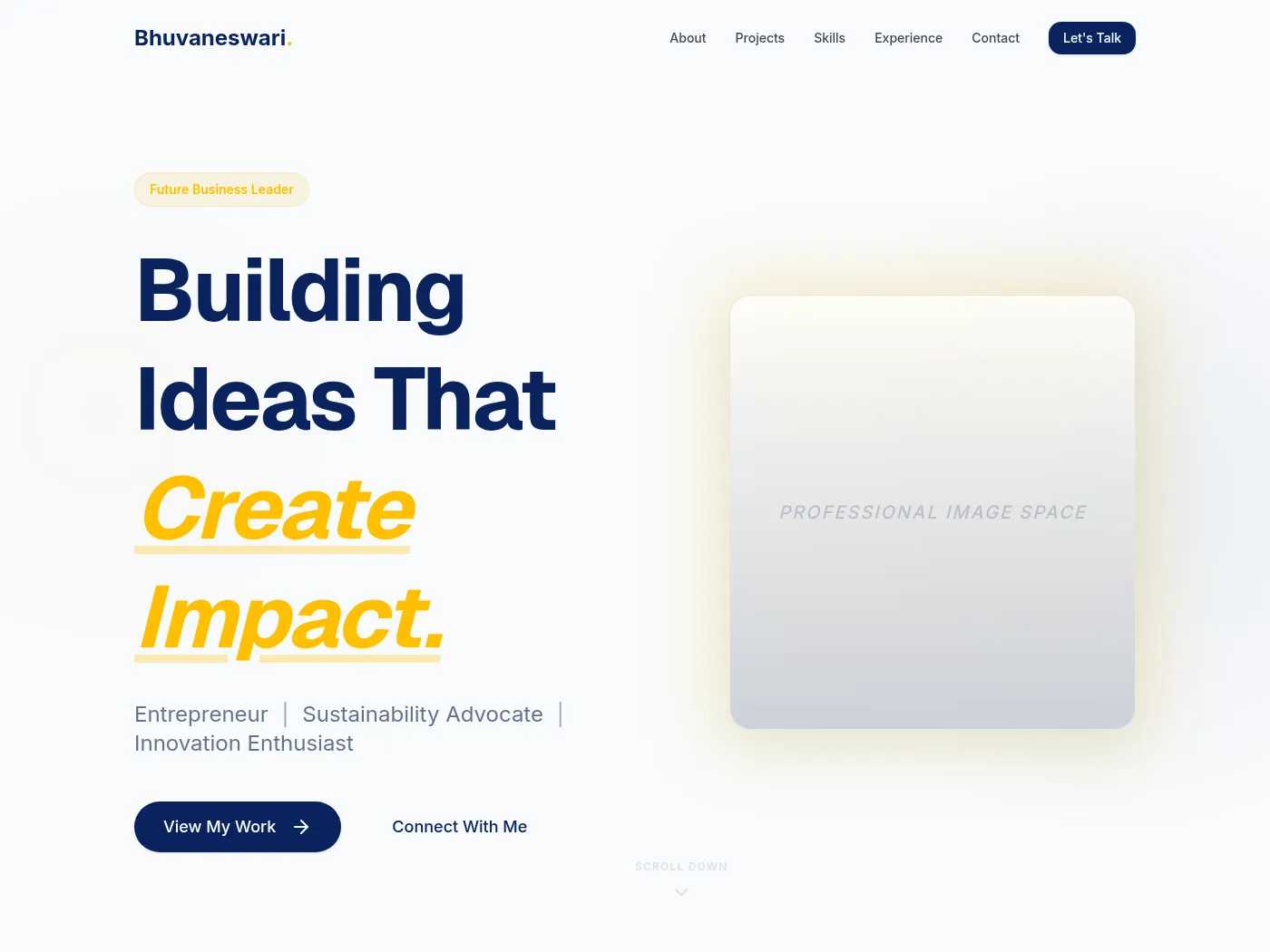 Impact Innovator Portfolio