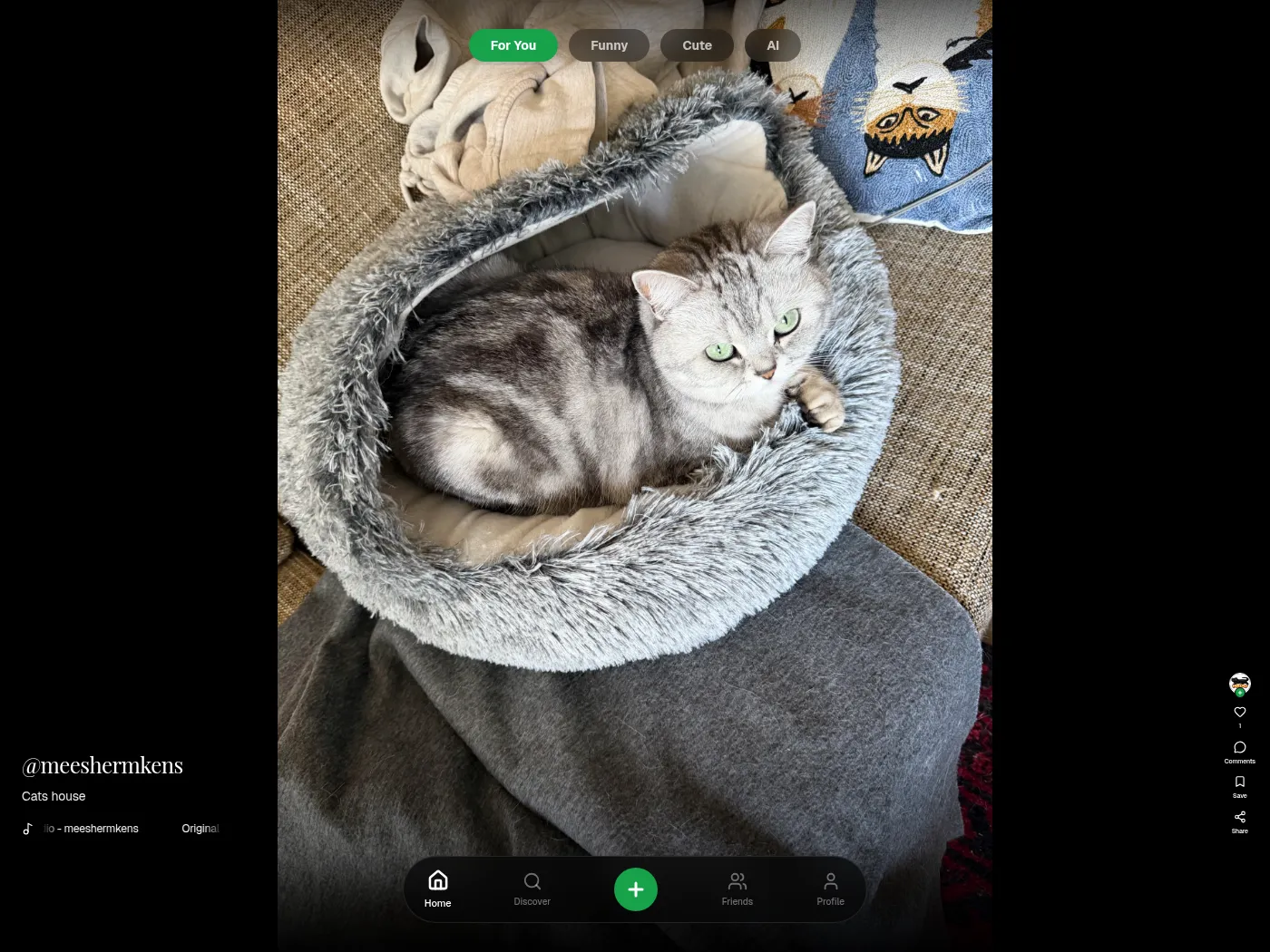 Infinite Cat Video Feed (Remix)