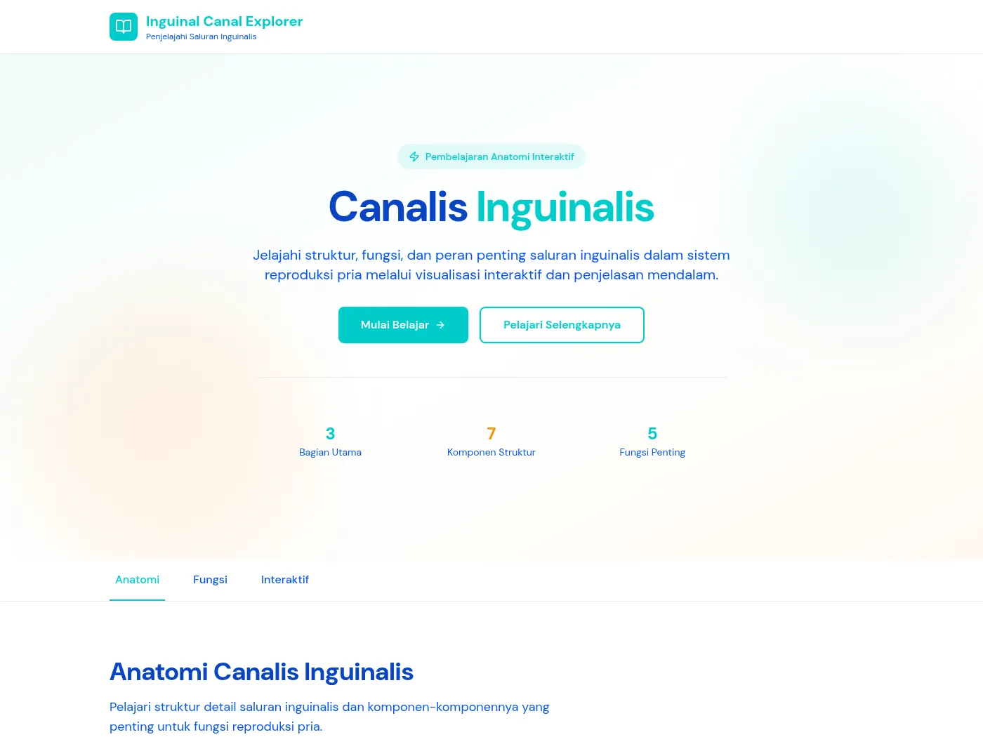 Inguinal Canal Explorer