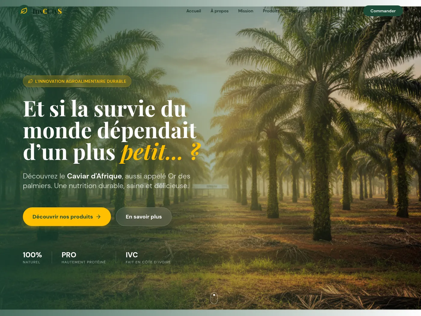 Insectys-Inspired Web Portal