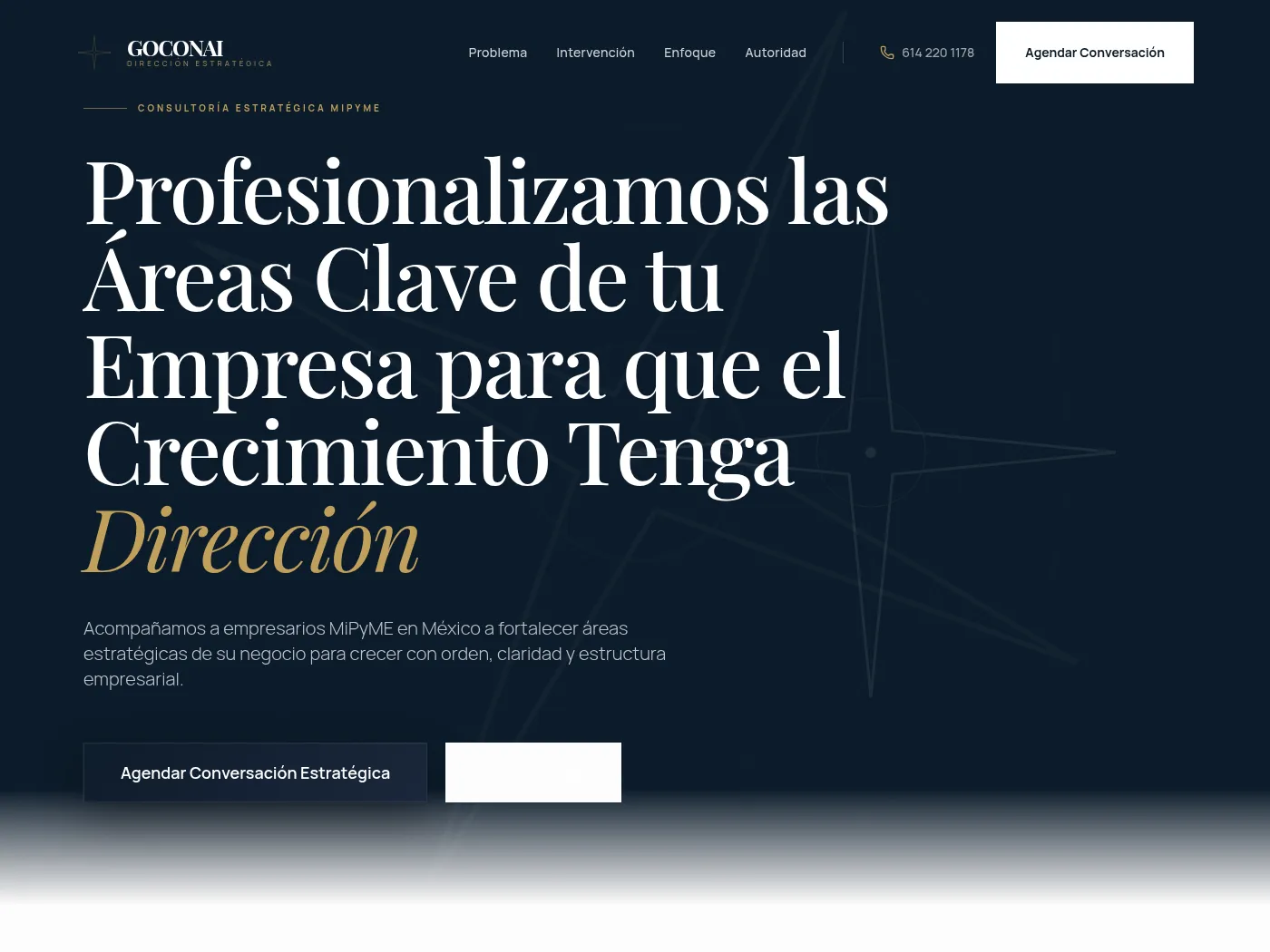GOCONAI CONSULTING
