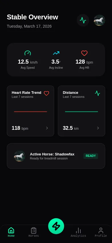 IronTrace Fitness Tracker (Remix)