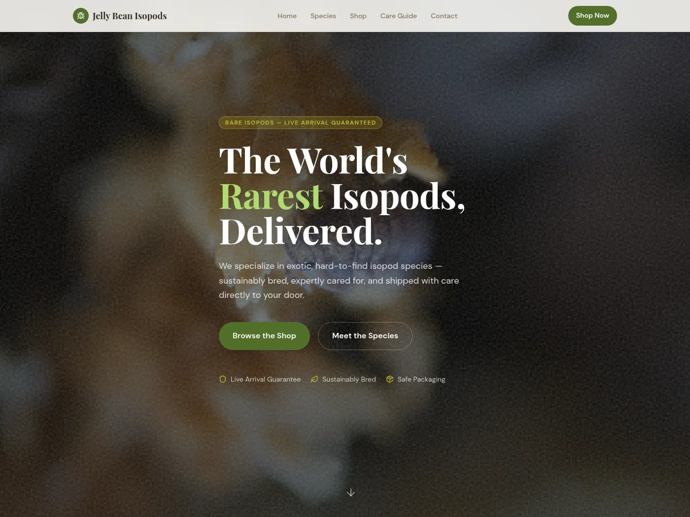 Isopod Sales Website