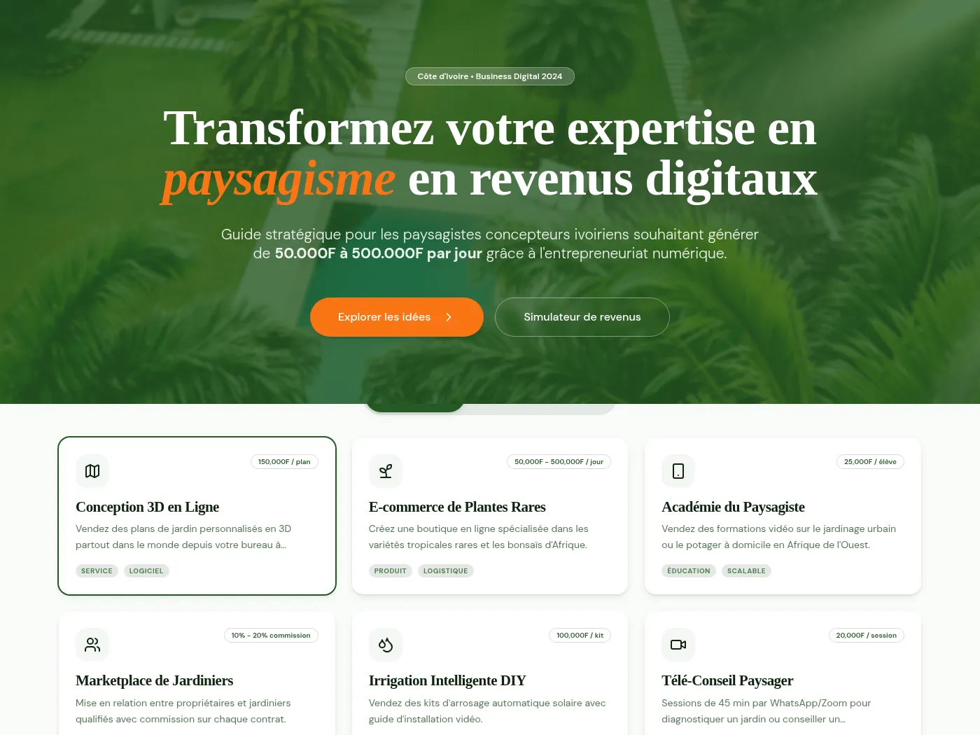 Ivory Web Biz Ideas