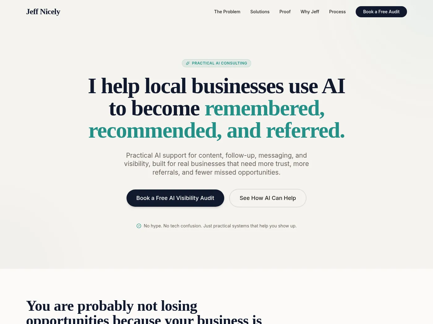 Jeff Nicely AI Consulting