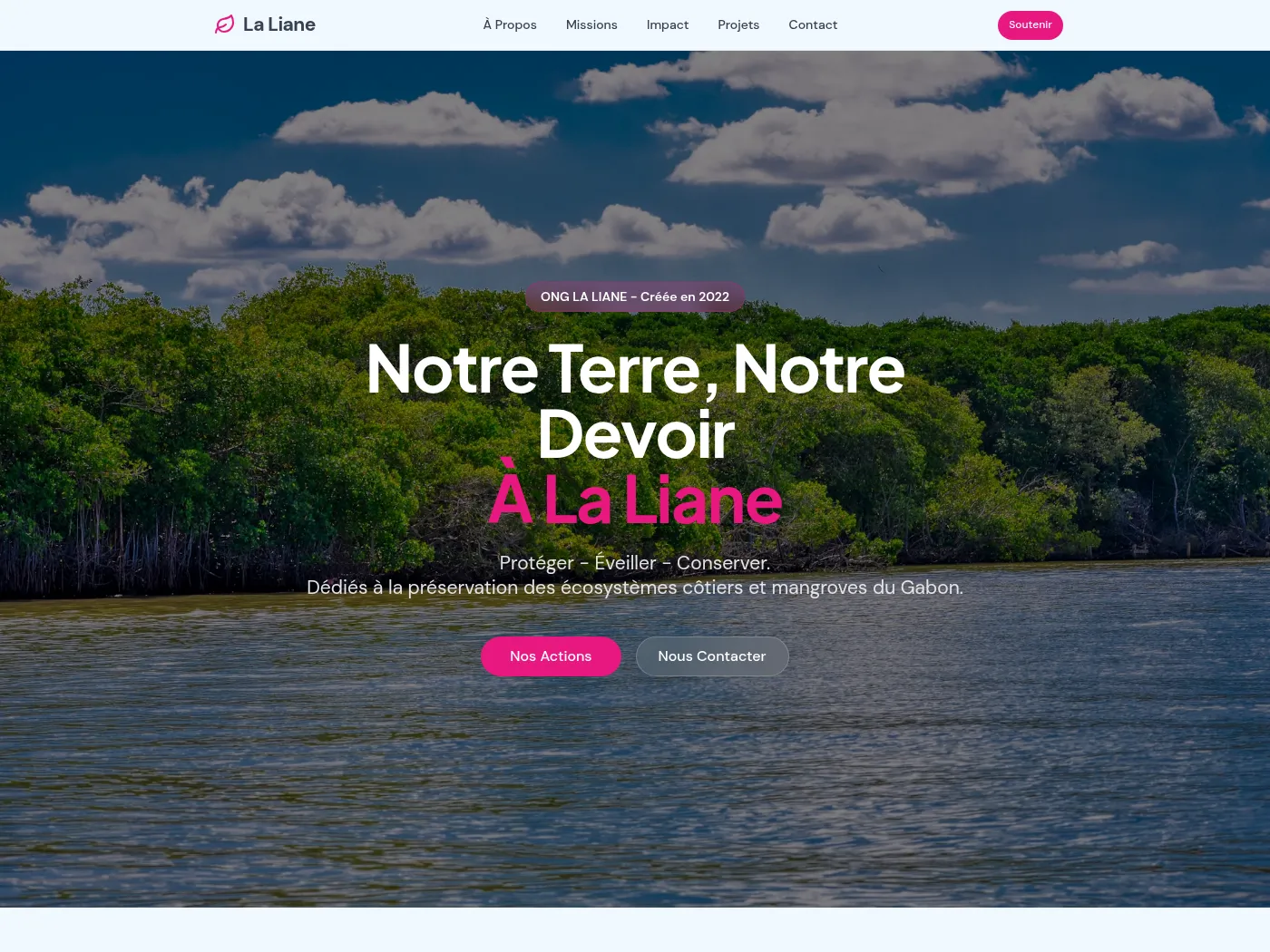 La Liane ONG Site
