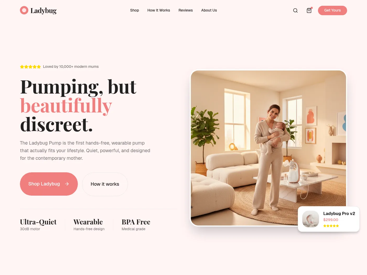Ladybug Pump Website