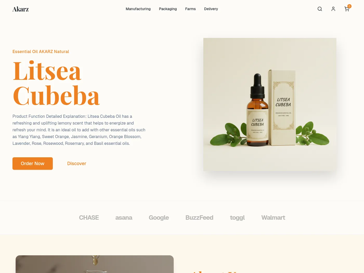 Landing Page Clone
