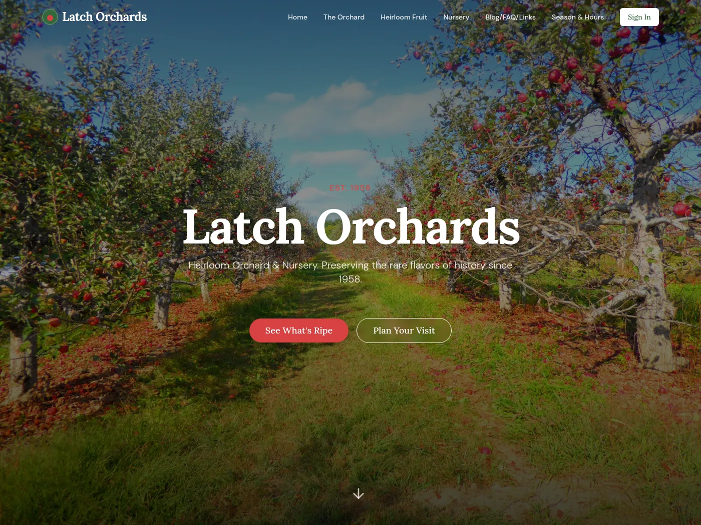 Latch Orchards Website
