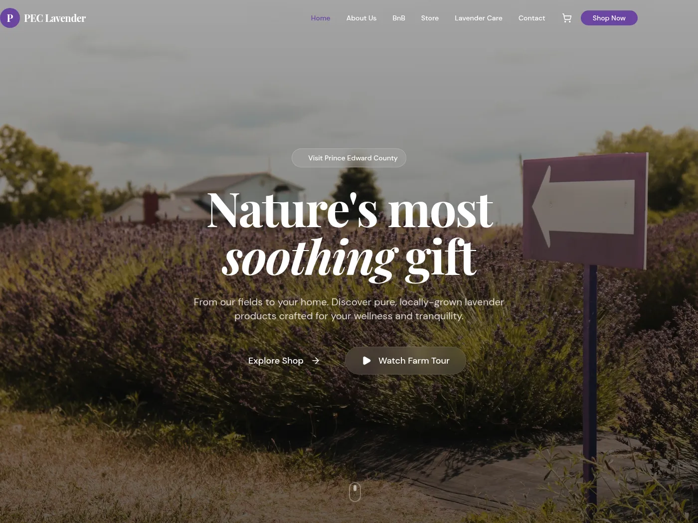 Lavender Wellness Site