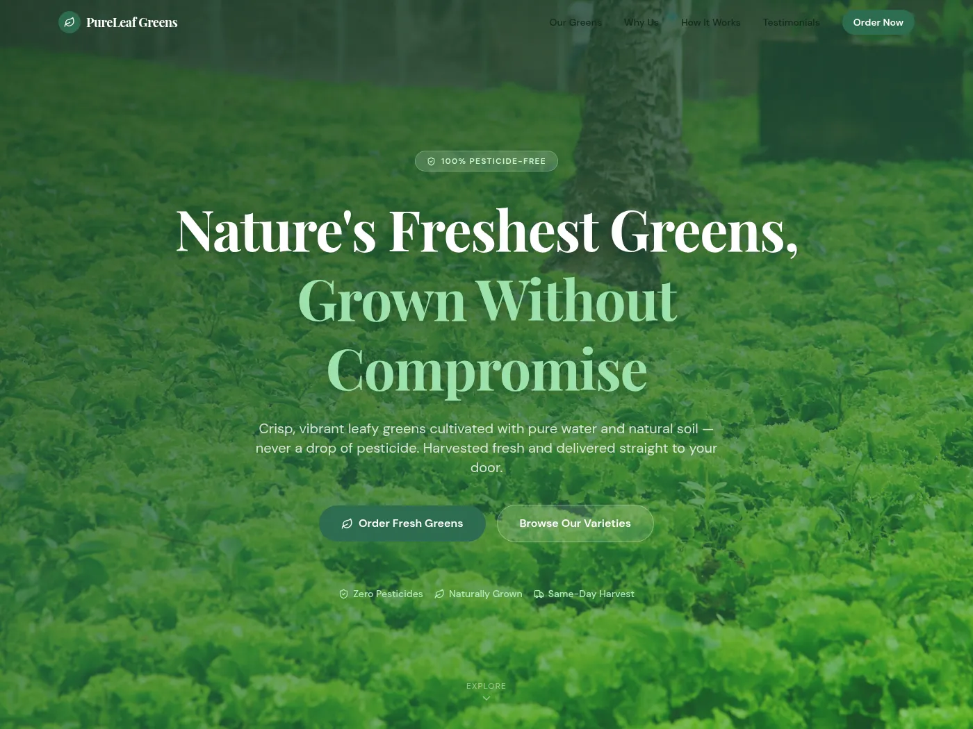 Fresh Greens Landing