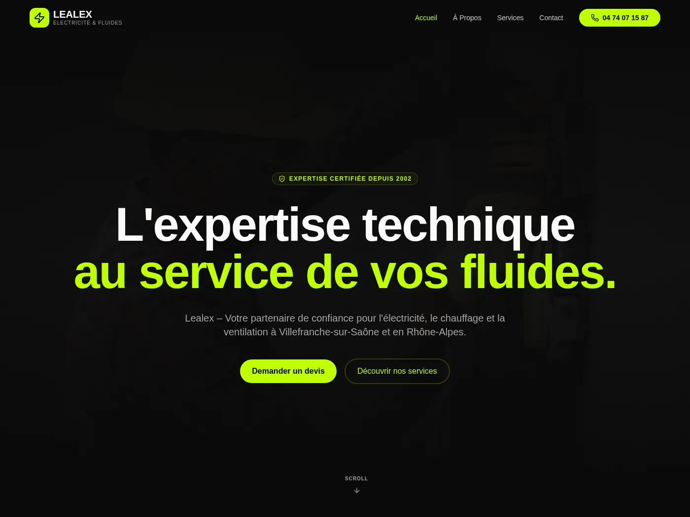 Lealex Pro Web Presence