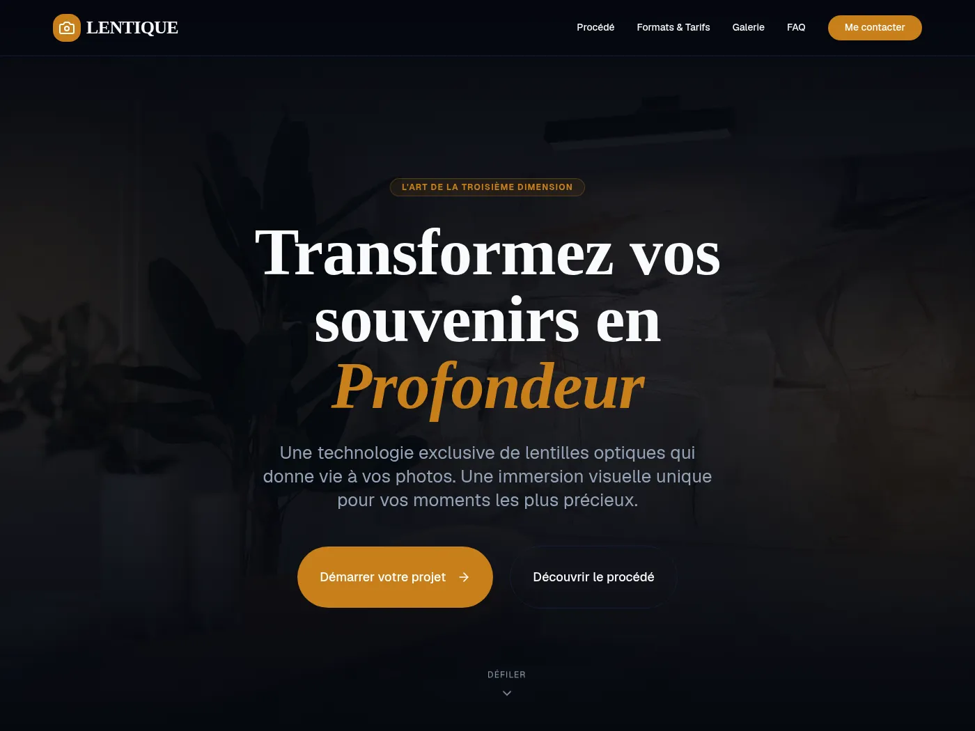 Lentique 3D Art Web
