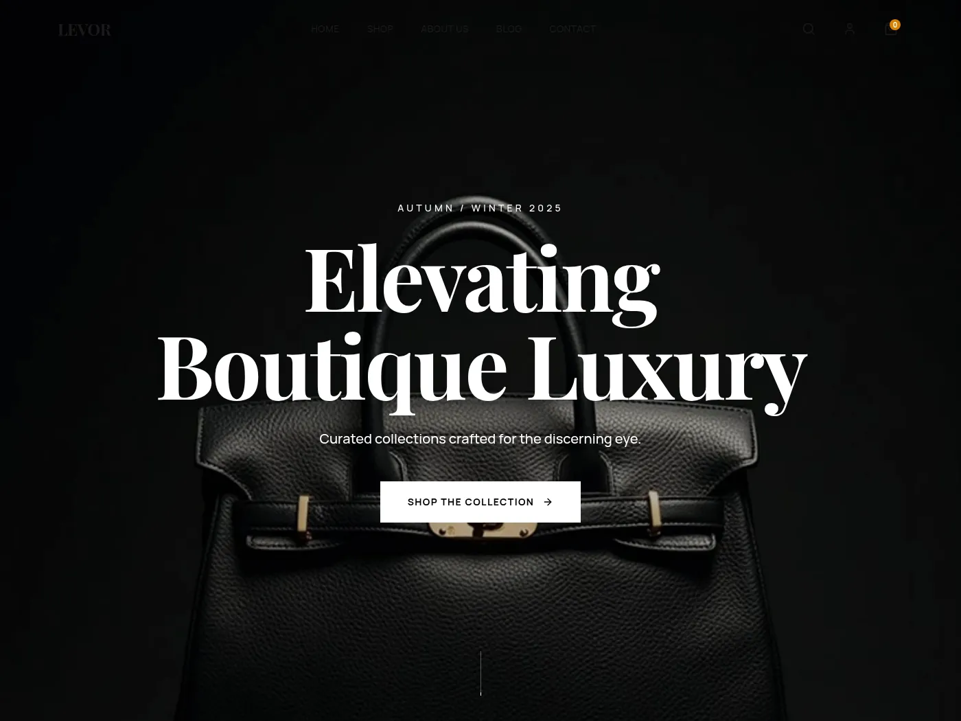 Levor Portfolio Clone