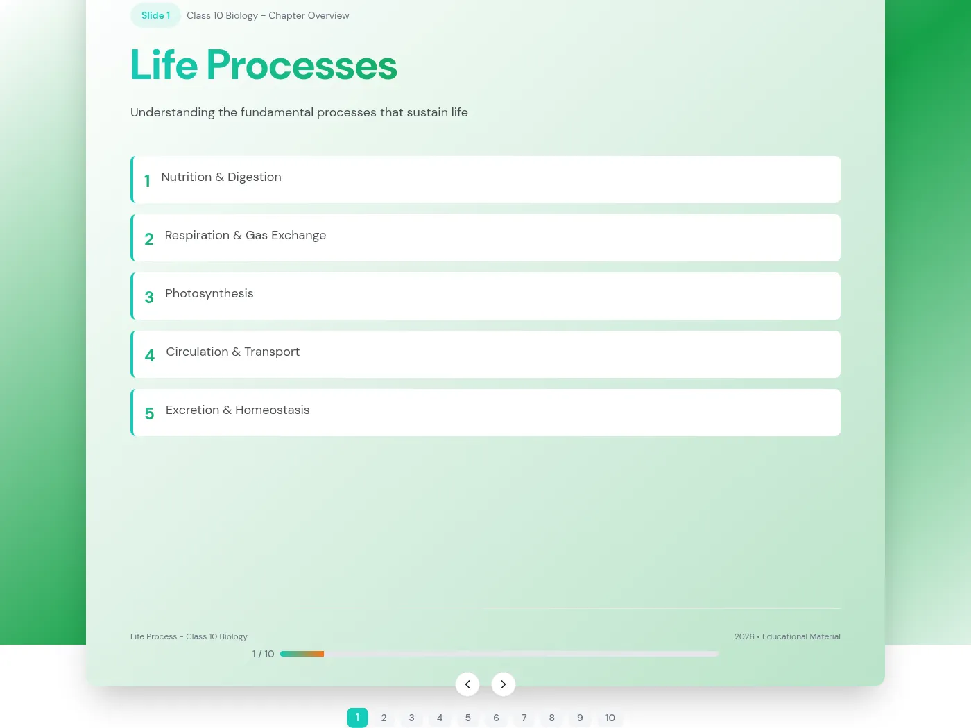 Life Process SlideDeck