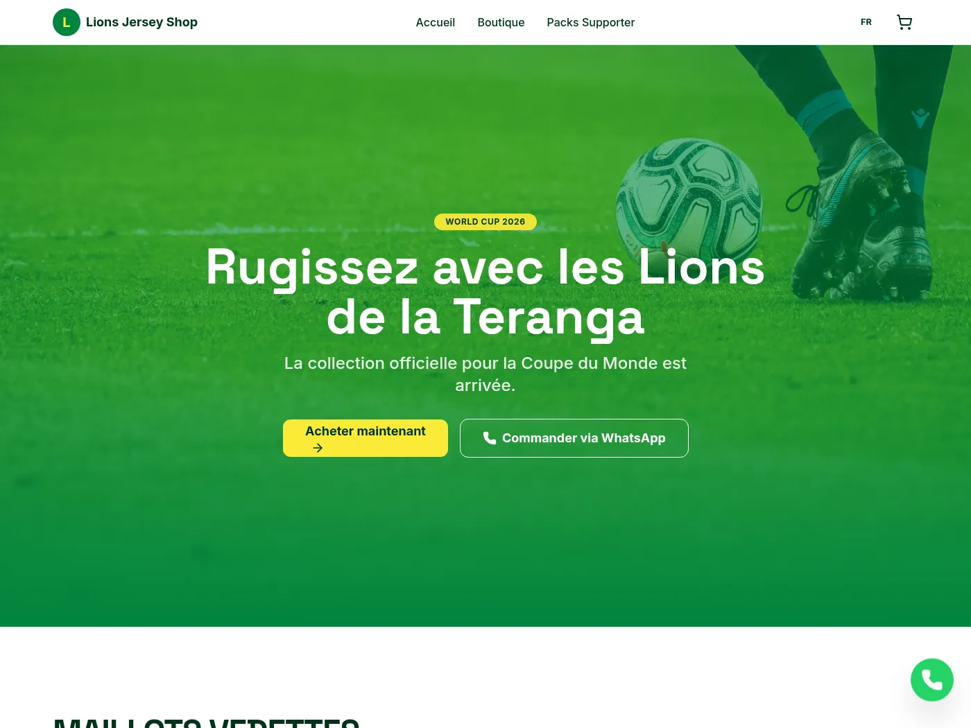 Lions Jersey Shop
