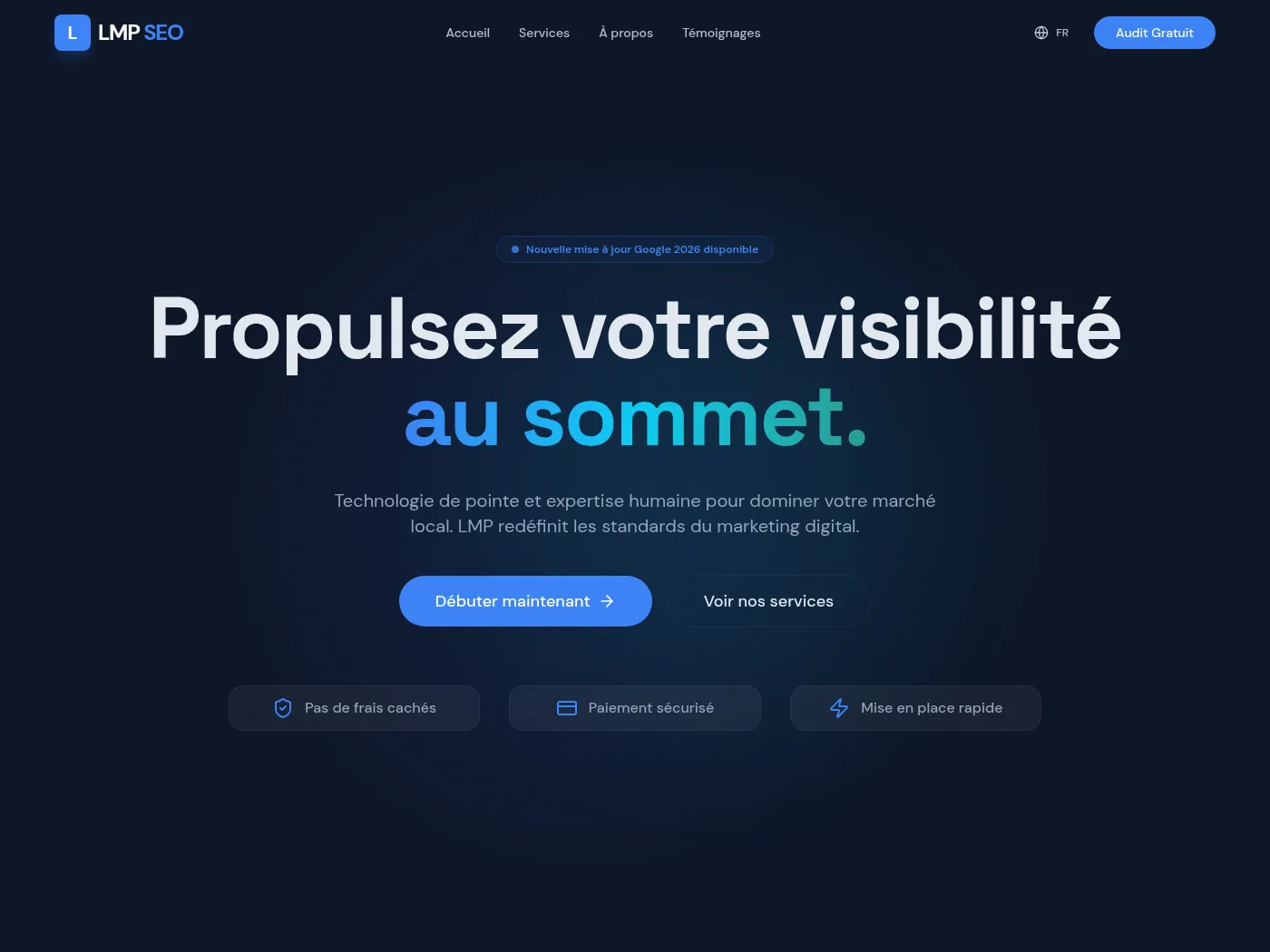 LMP SEO Landing Page