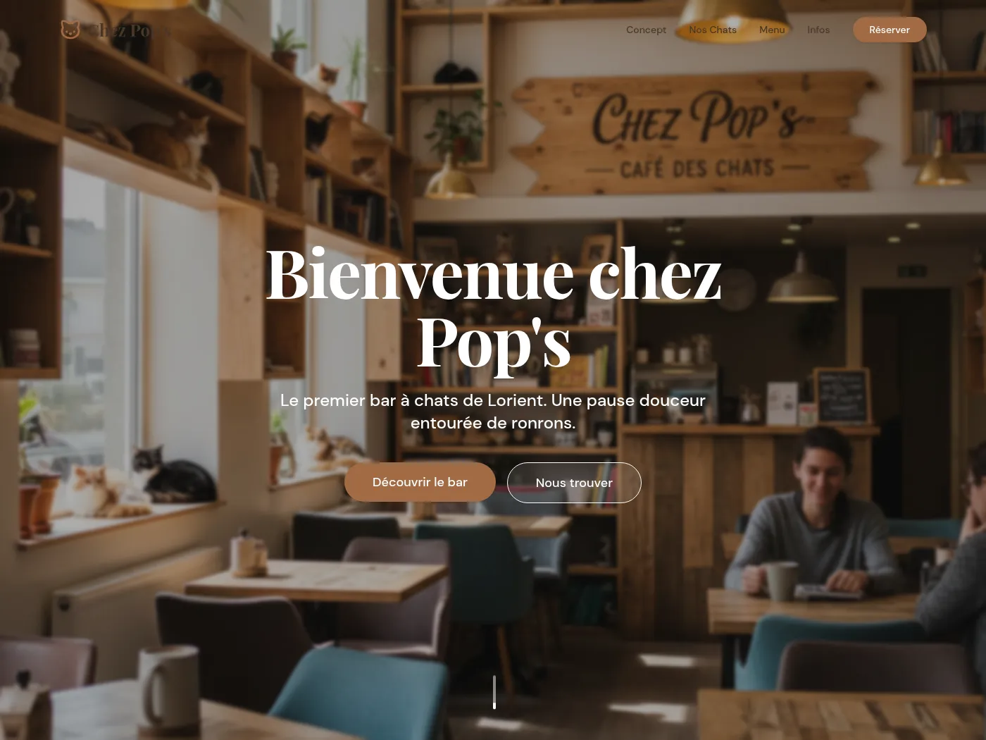 Lorient Cat Bar Site