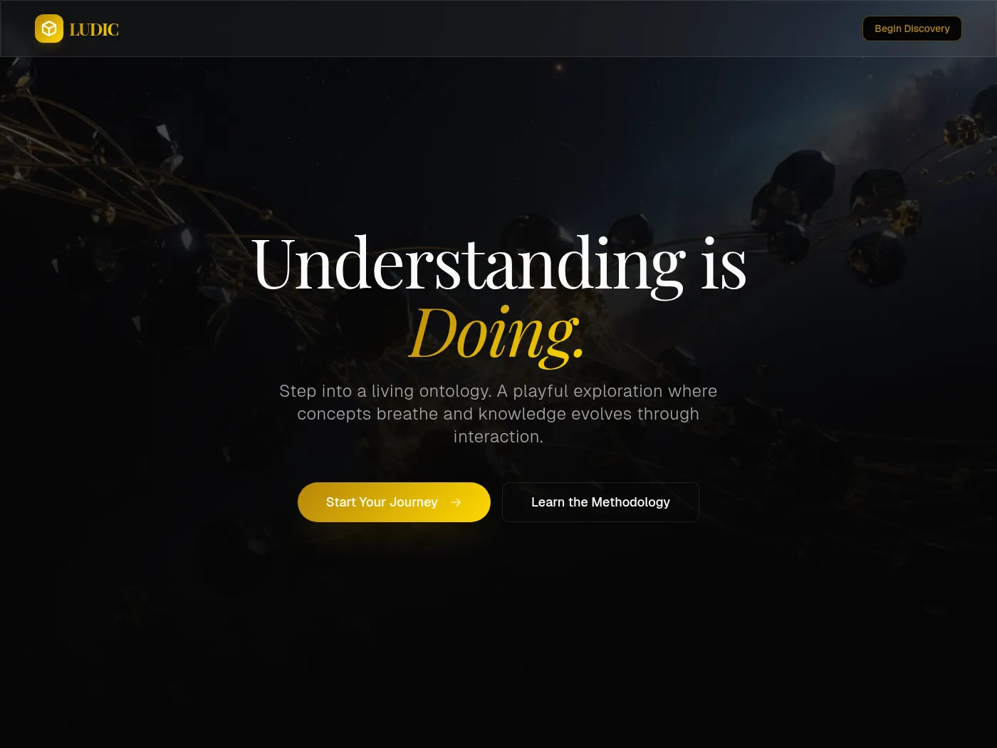 Ludic Insight App