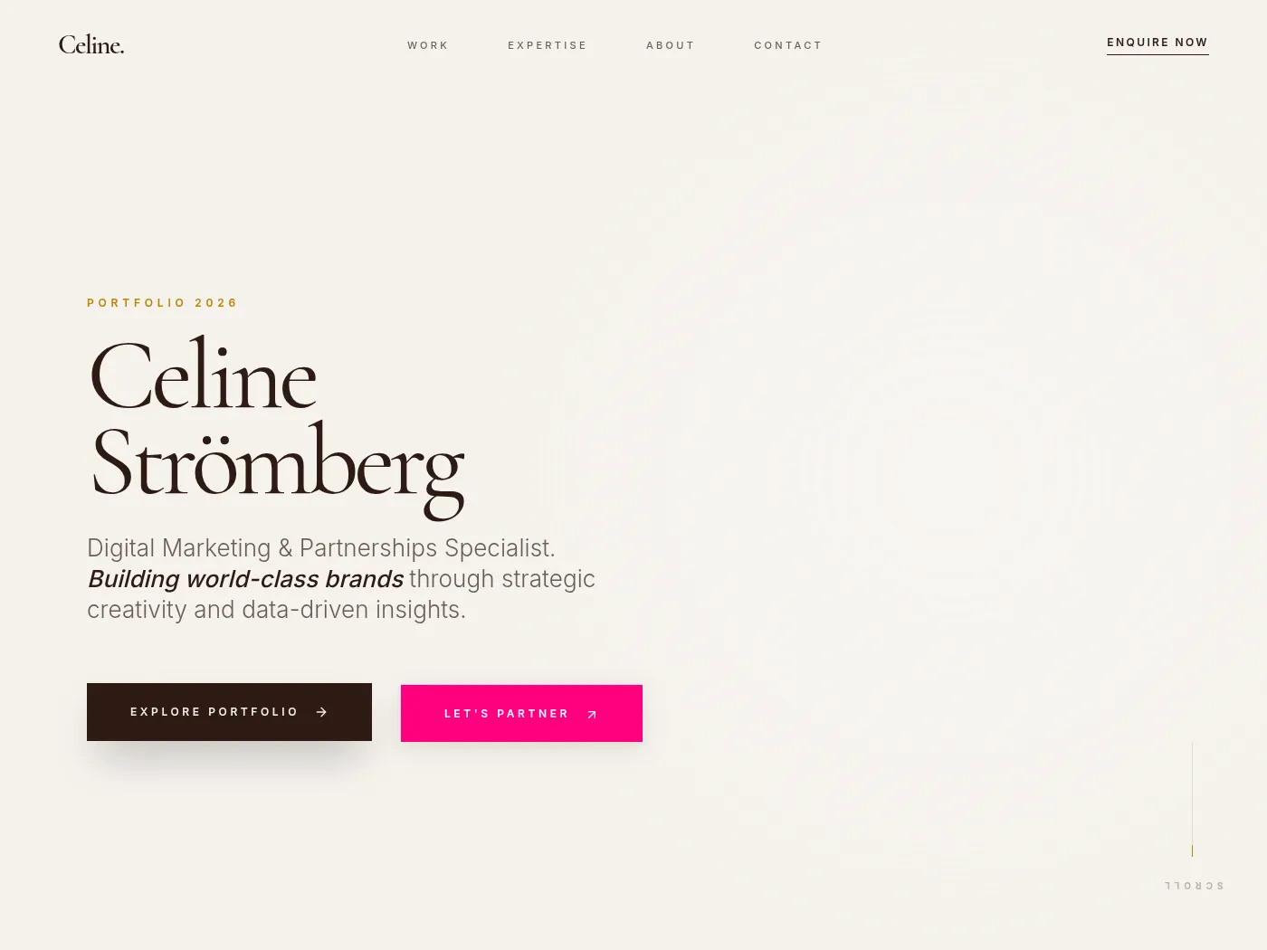 Luxury Beige Portfolio
