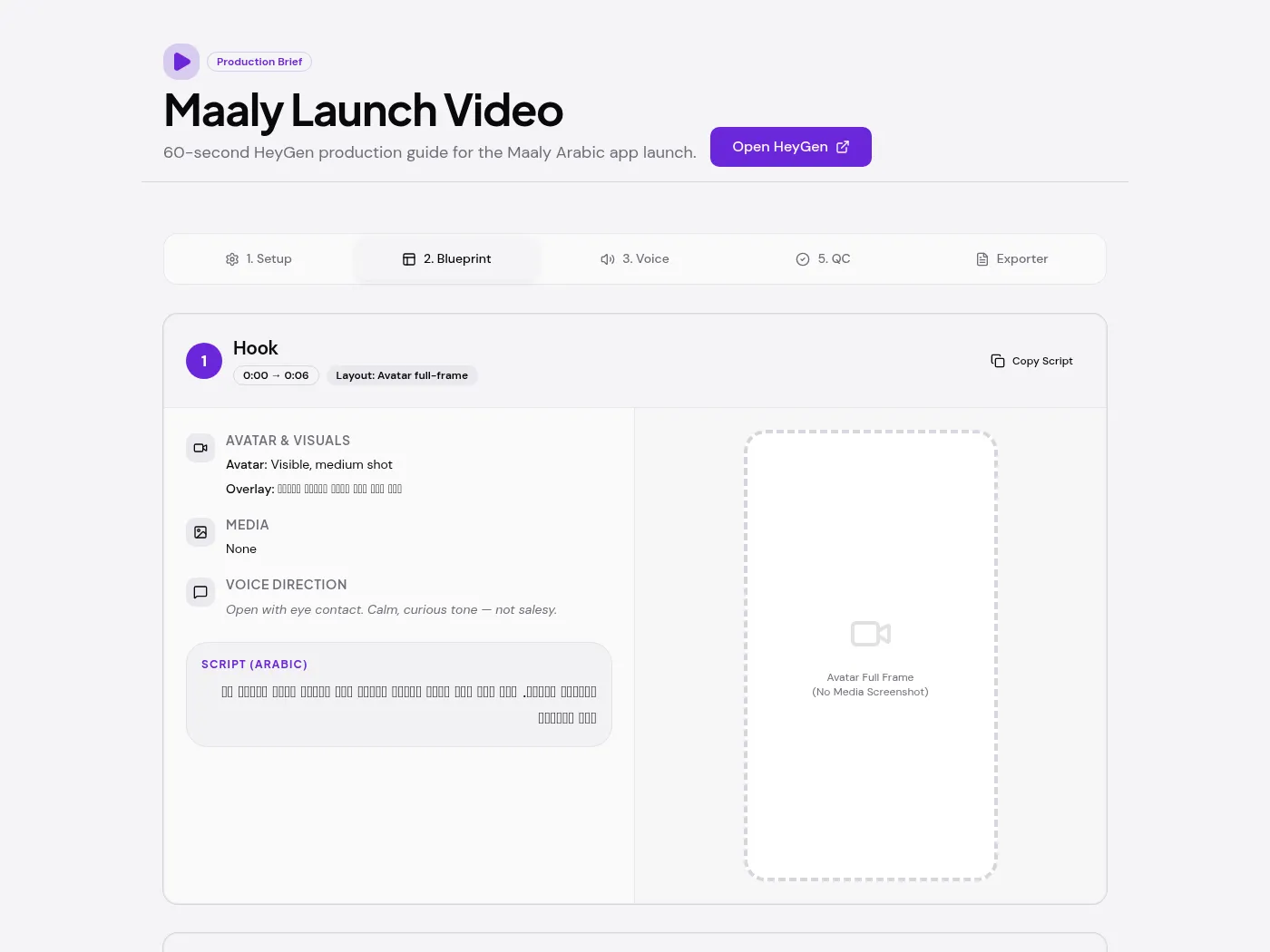 Maaly Launch Video Brief